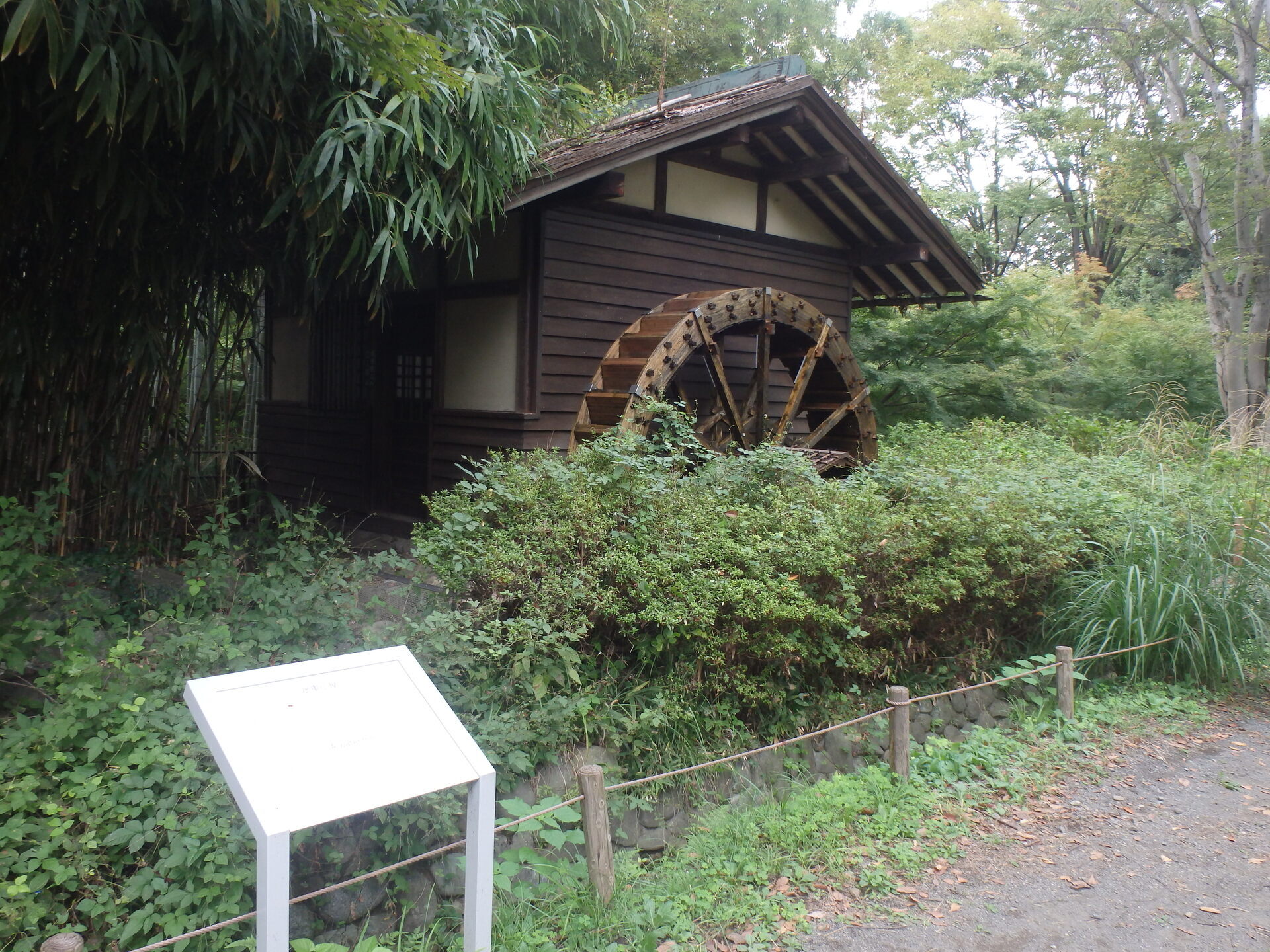 府中市郷土の森博物館に彼岸花を訪ねて。: 旅は道連れ